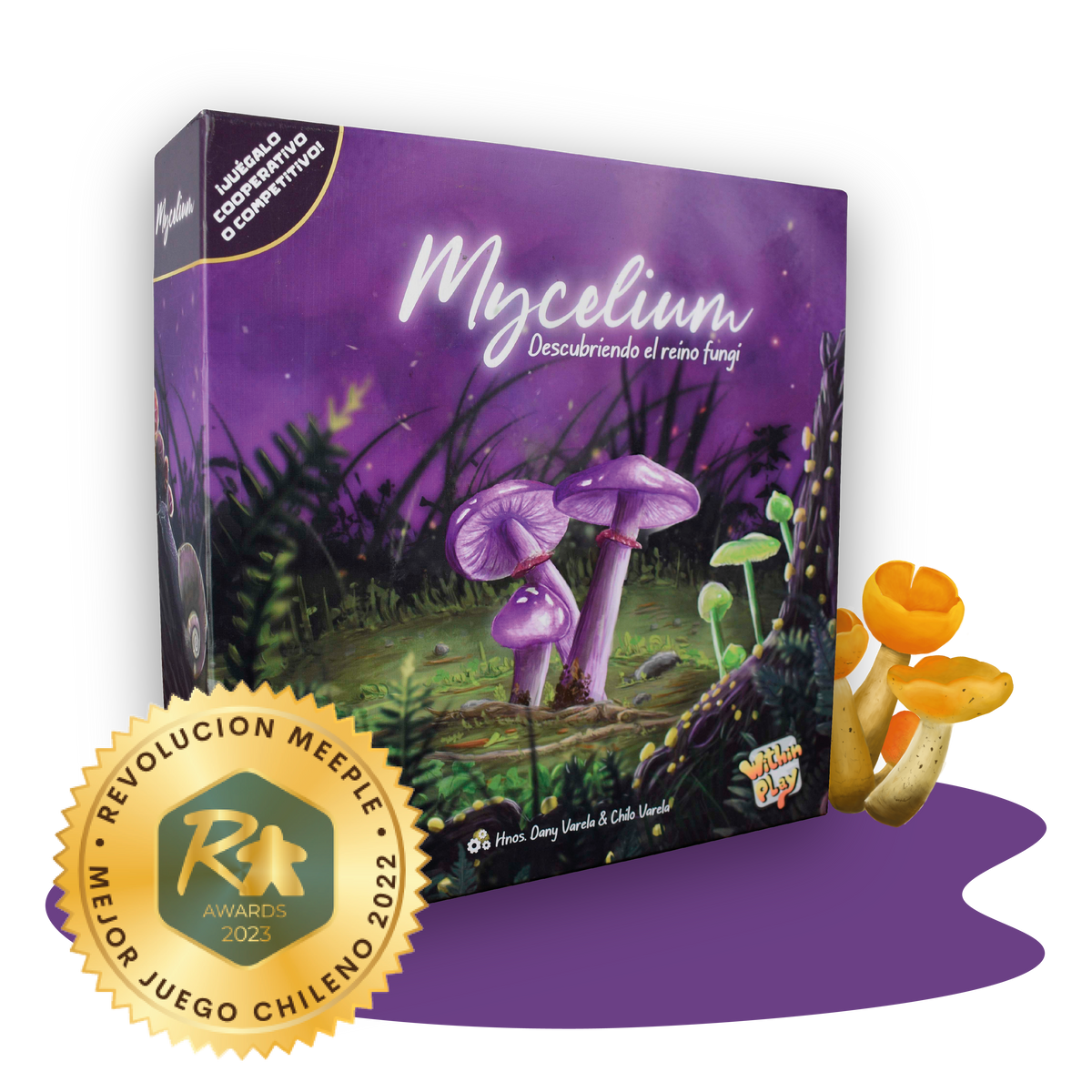 Mycelium – Within Play